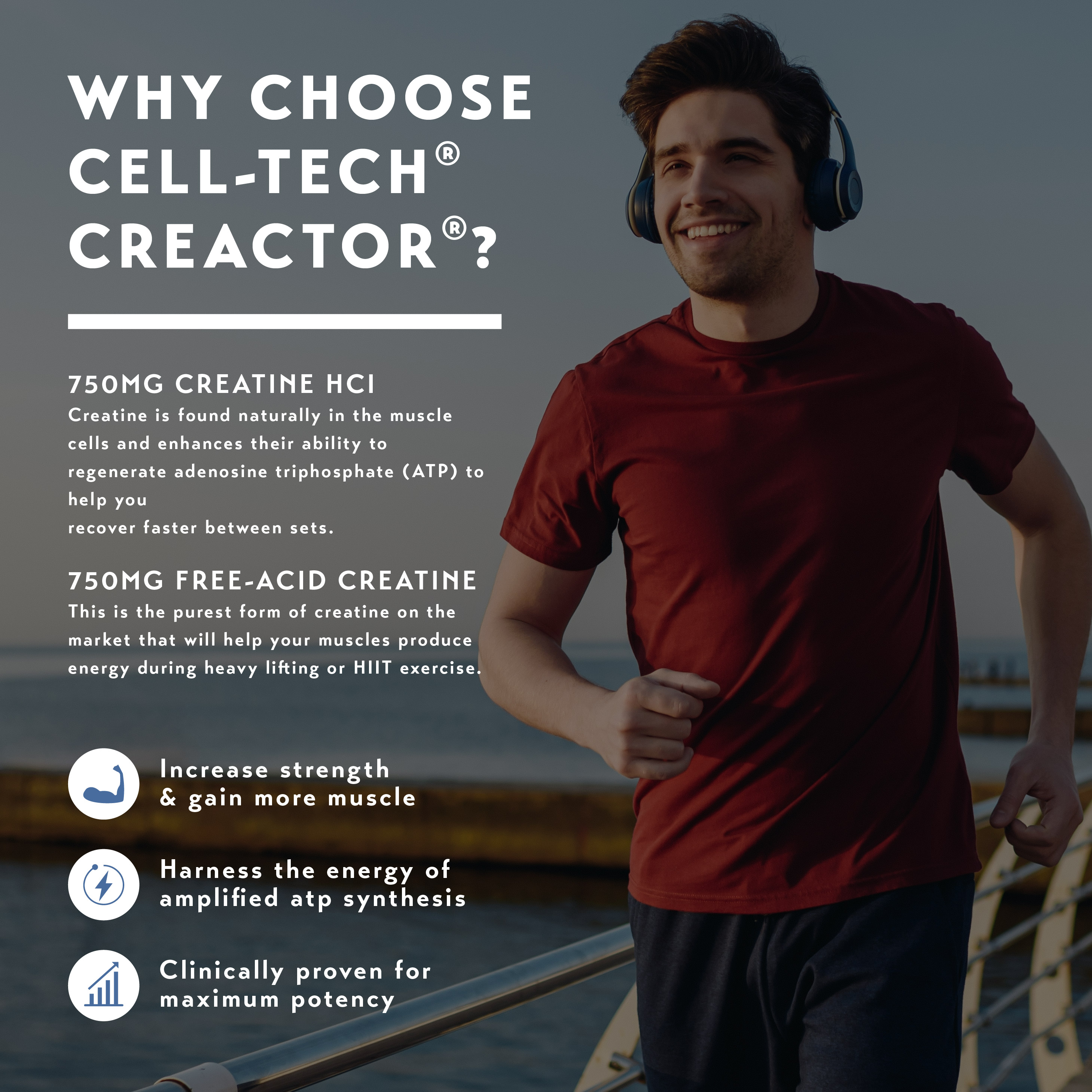 MuscleTech Cell Tech Creactor (264g) | WOAH!